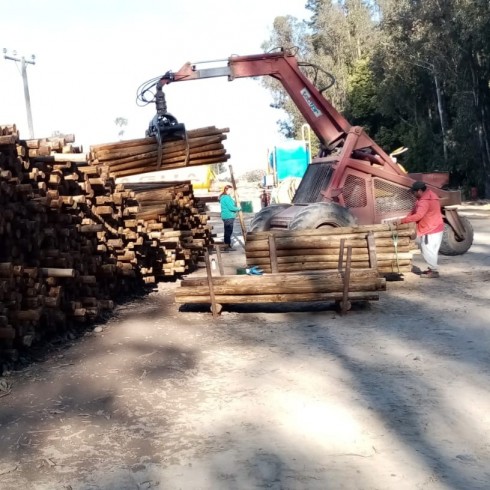 POLINES 2 PULGADAS A 3 PULGADAS DE 2 METROS DE LARGO